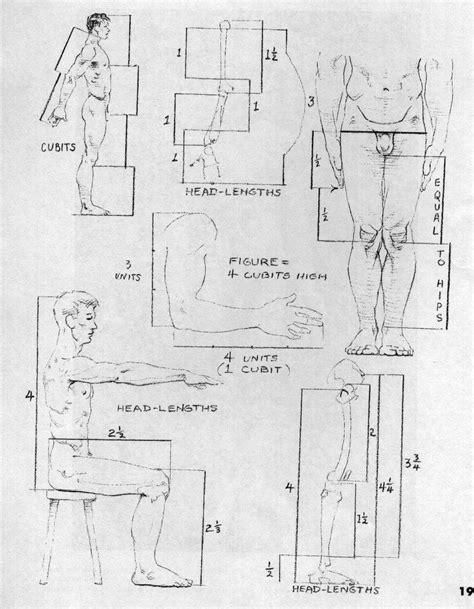 Image result for Proportion Drawing