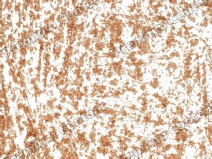 Image result for Rust PNG