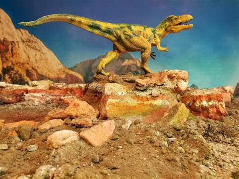 Image result for Lizard Side View