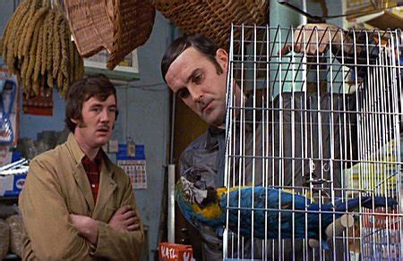 Image result for Monty Python Skits