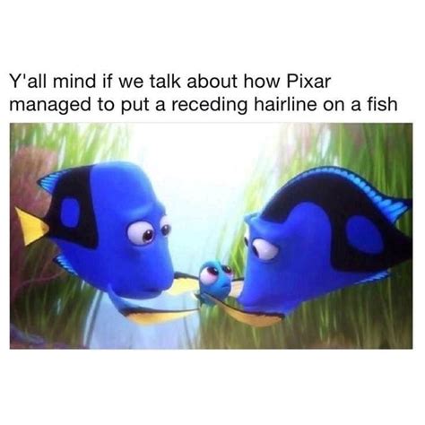 Image result for Finding Nemo Real Life