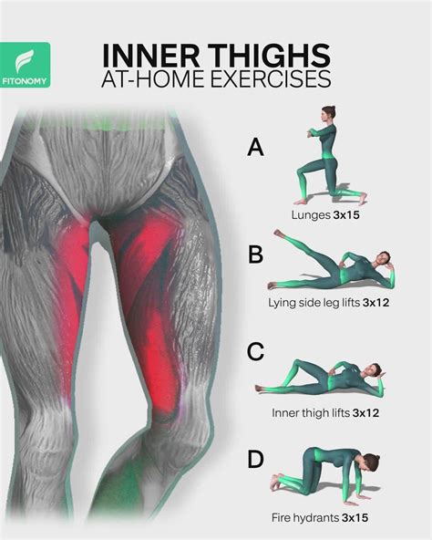 Image result for Dynamic Stability Exercises