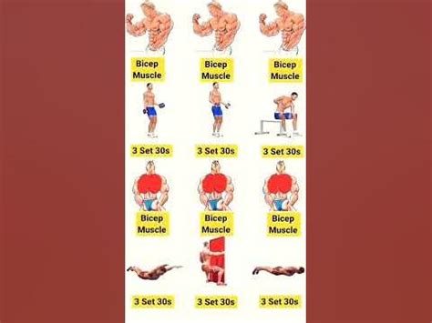 Image result for Bisect Workouts