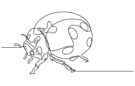 Image result for Ladybug Line Drawing