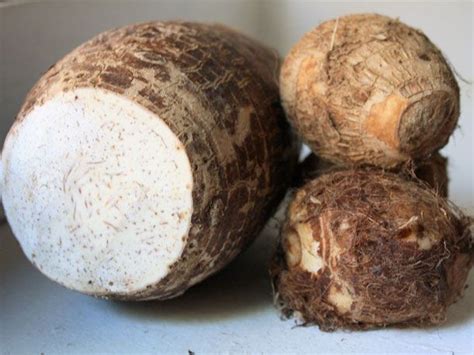Image result for Different Types of Taro Root