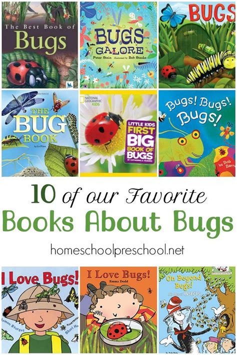 Image result for My First Insect Book