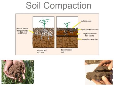 Image result for Visual Soil Compaction