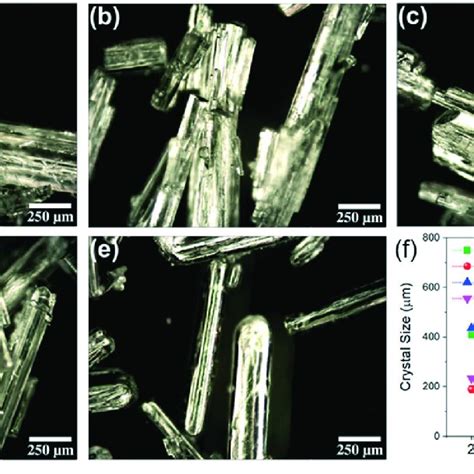 Image result for Continuous Crystallization