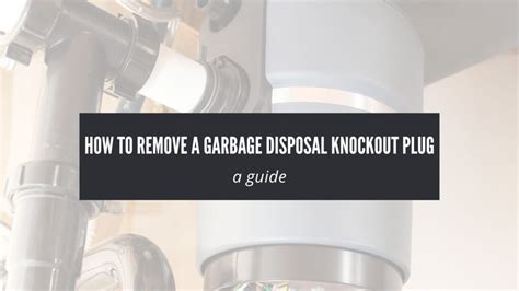 Image result for Garbage Disposal Plug