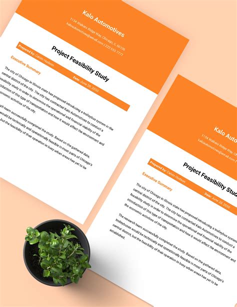 Image result for Project Management Feasibility Study Template