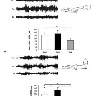 Image result for SL Dynamic Exercises