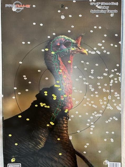 Image result for Patterning Shotgun with Boss Shot Shells