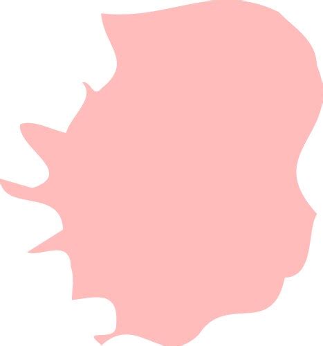 Image result for Paint Splash Vector