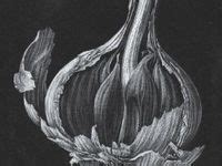 Image result for Tonal Drawing Objects