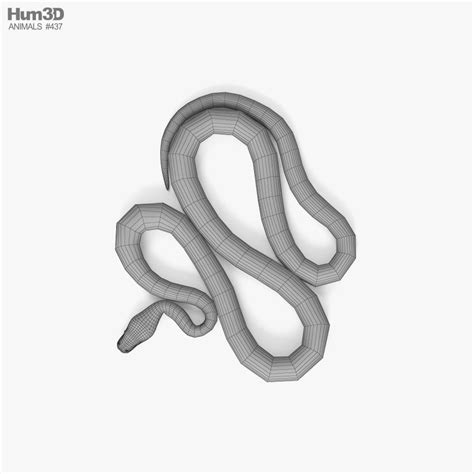 Image result for Python 3D Model