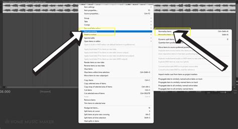 Image result for Normalization in Reaper