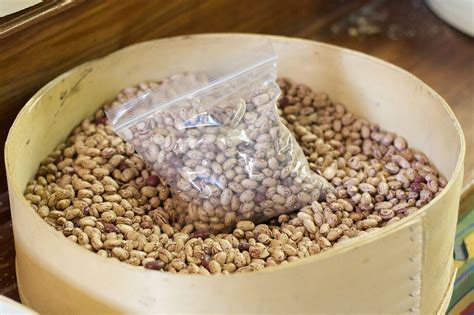 Image result for October Beans