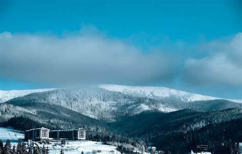 Image result for Formation Hotellerie