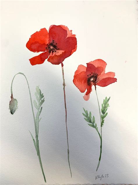 Image result for Watercolour Poppies Tutorial