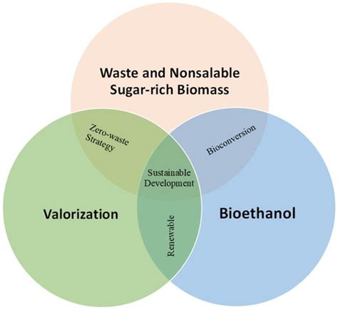 Image result for Bioethanol From Sugar Processing