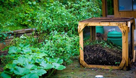 Image result for Compost Piles Homemade