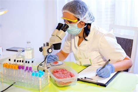 Image result for Food Science Degree Programs