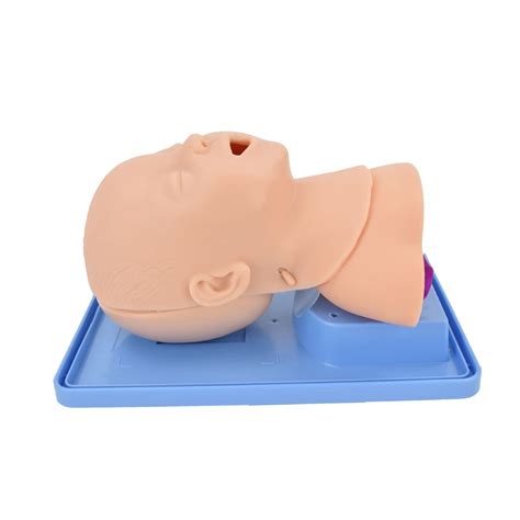 Image result for Intubation Training