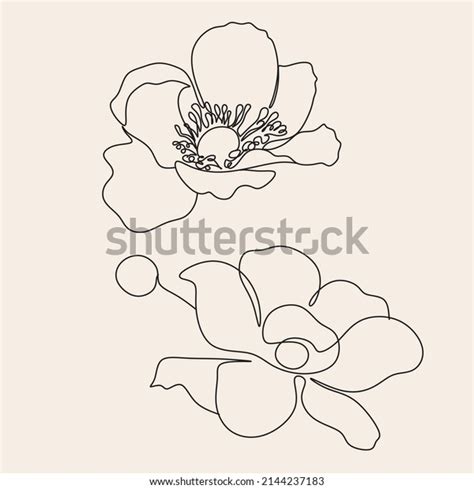 Line Art Flowers Botanical Line Drawings Stock Vector (Royalty Free ...