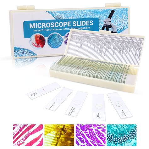 BEBANG 60 Microscope Slides with Specimens for Kids, Prepared ...