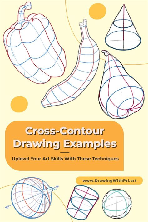 Image result for Cross Contour Object Drawing