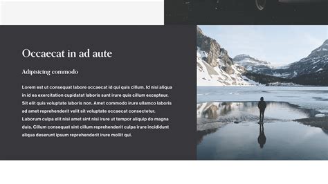 Image result for Split Screen Layout