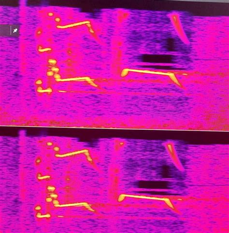 Image result for Minecraft Disc 11 Spectrogram