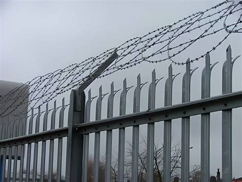 Image result for Razor Wire Installation