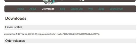 Image result for Memcached Windows