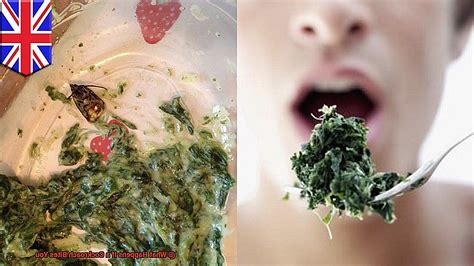 Image result for Cockroach Bites On Humans