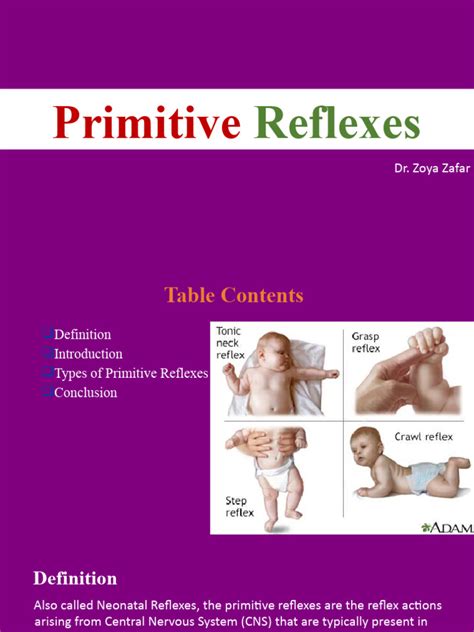Image result for Neonatal Primitive Reflexes