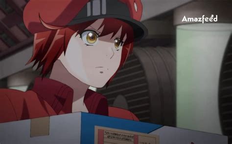 Image result for Cells at Work Net TV