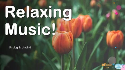 Image result for Calm Spring Music