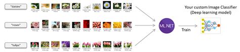 Image result for Tensorflow Image Classification