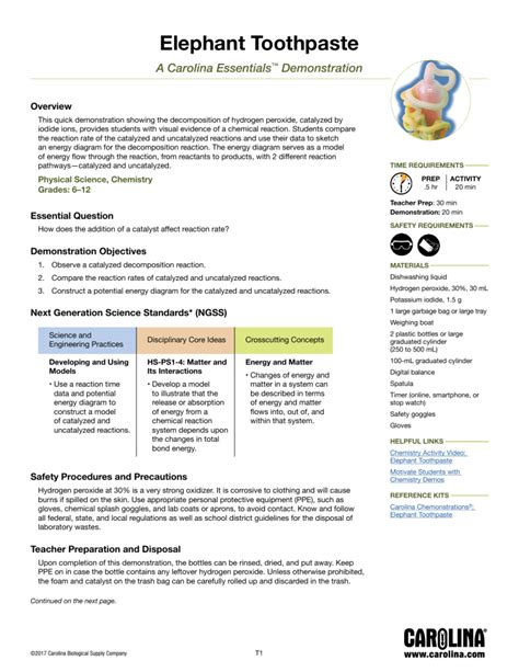 Image result for Elephant Toothpaste Printable Directions