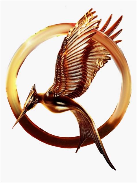 Image result for Mockingjay Pin Hunger Games Symbol