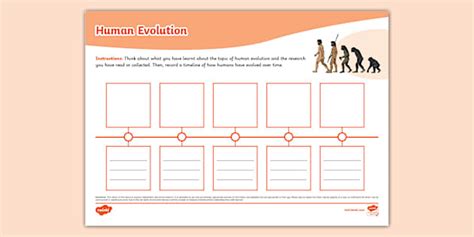Image result for Human Evolution Worksheet