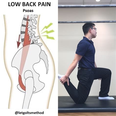 Image result for Psoas Muscle Stretch