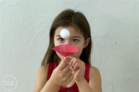 Floating Ball Experiment: Bernoulli's Principle for Kids | Mombrite