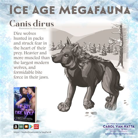 Image result for Age of Wolves