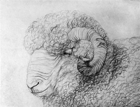 Image result for Learn to Draw with Color