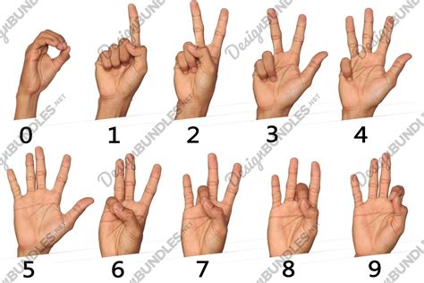 Image result for Hand Signal for Number 12