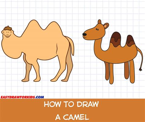 Image result for Camel Drawing Tutorial