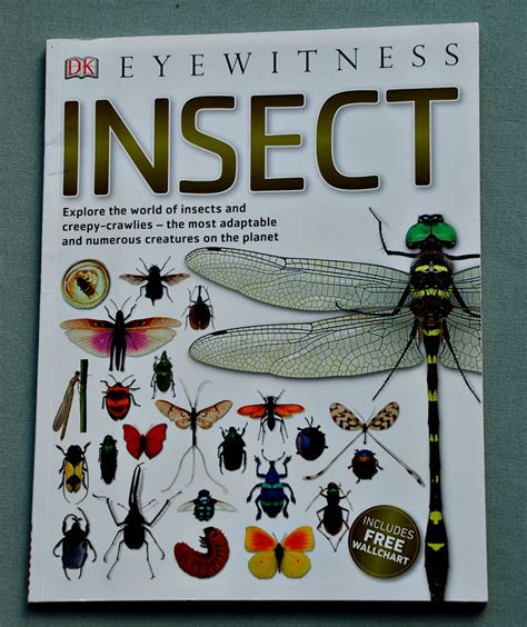 Image result for Insect Read Book