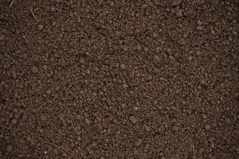 Image result for Planting in Humus